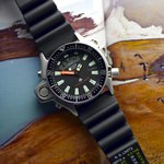 The Citizen Promaster Aqualand JP2000-8E - Horbiter®